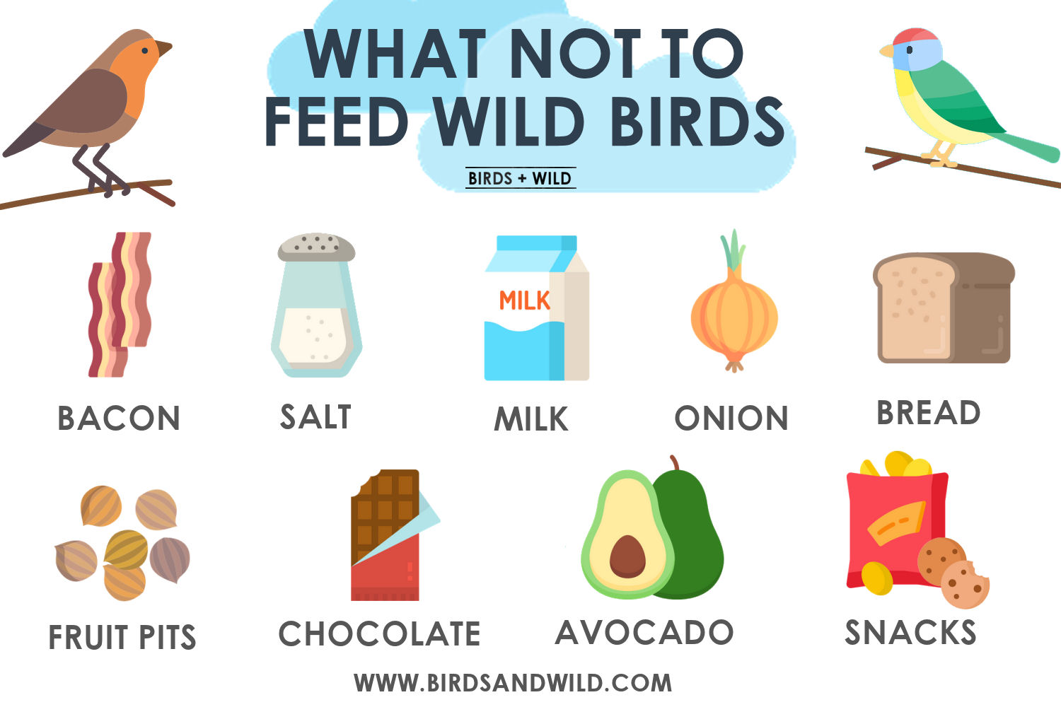 What Not To Feed Wild Birds - 15 Worst Foods » Birds & Wild